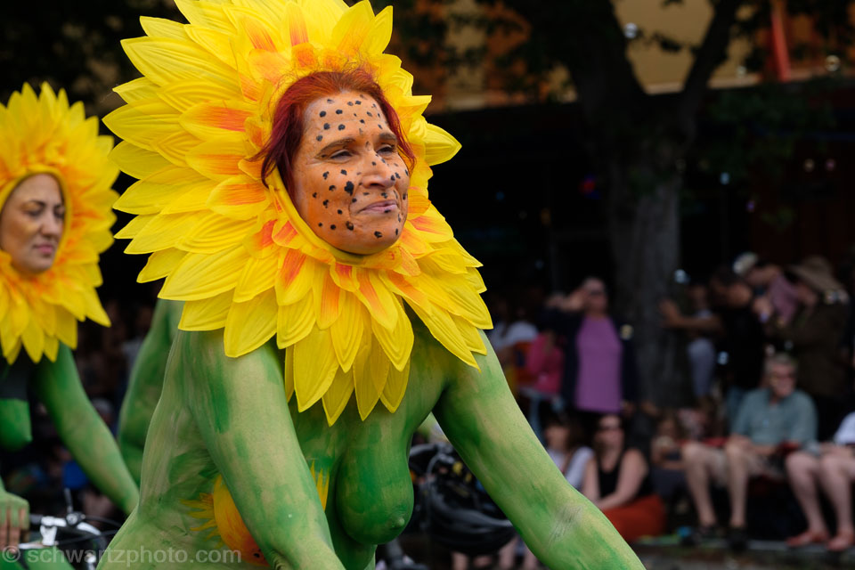 _DSF2820.jpg - Amitai Schwartz Photography